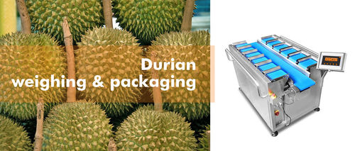 TOUPACK Multihead Weigher manufacturers | Multi Head Weigher Packing ...