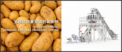 TOUPACK Multihead Weigher manufacturers | Multi Head Weigher Packing ...