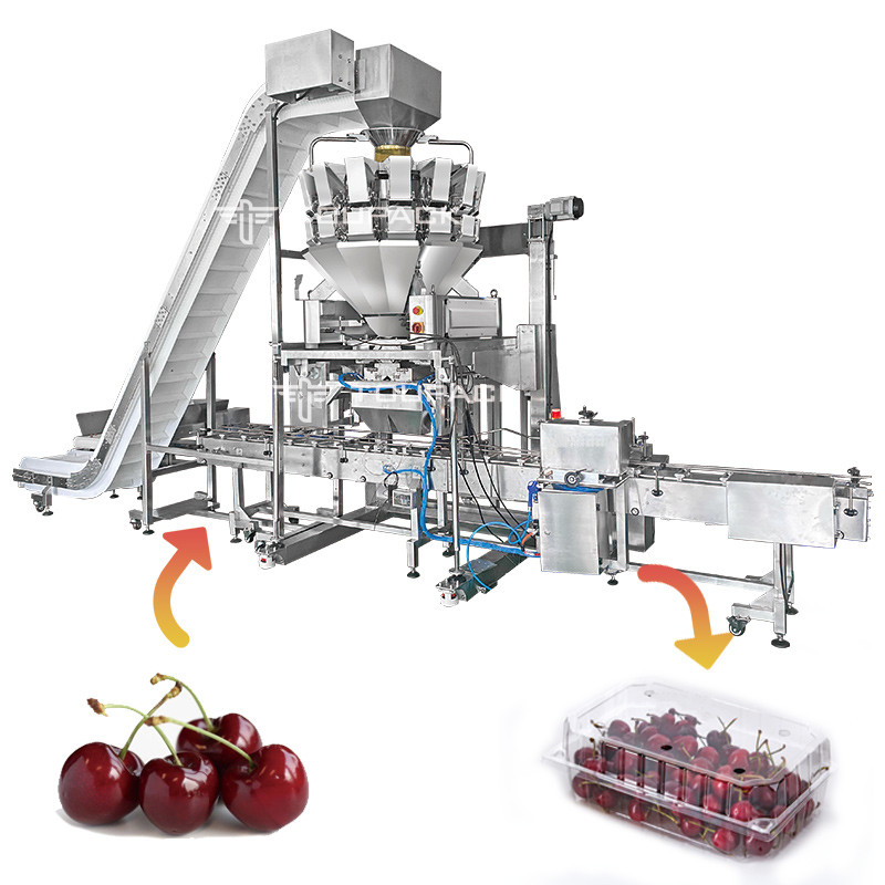 Linear Automatic Fruit Filling Machine for Cherry & Berry Packaging