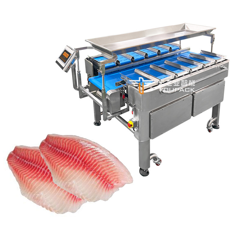 Multi-Function Food Weighing & Packing Machine with Conveyor Belt