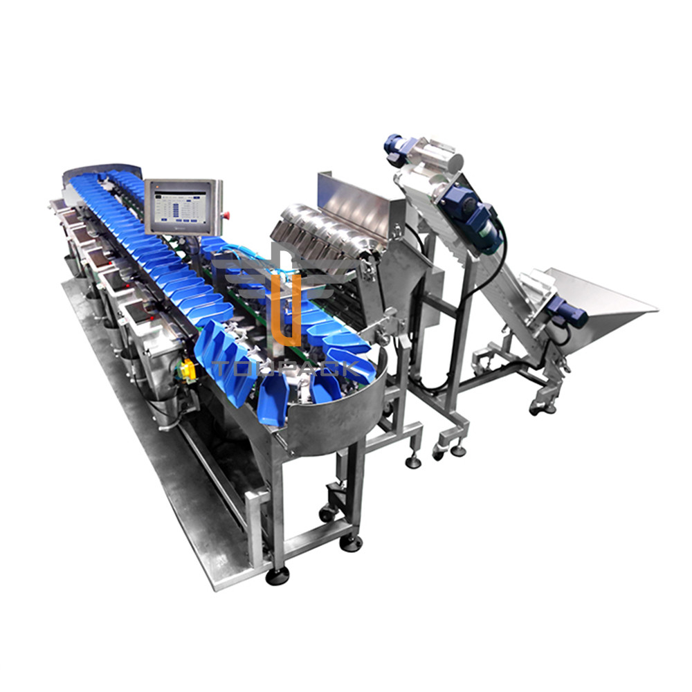 SUS304 Conveyor Weight Sorting Machine for Fish & Fruit