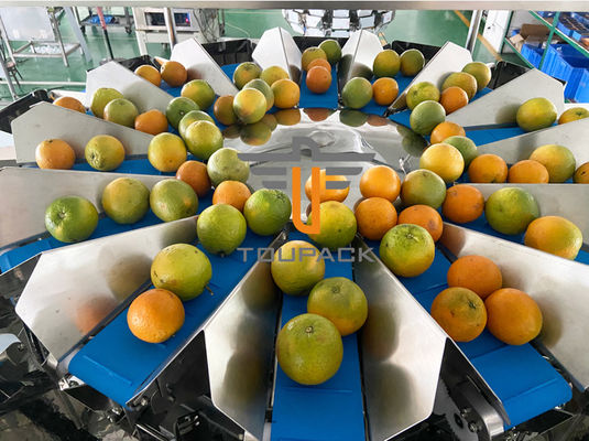 Stainless Steel MCU IP65 Fruit Multihead Weigher