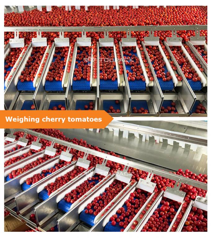 Automatic Fruit Vegetable Carrot Citrus Raspberry Nectarines Tray ...