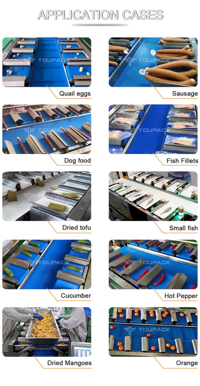 12-Head Rotary Vacuum Bag Packaging Machine for Beef Cubes