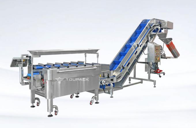 TOUPACK "Potato Automatic Weighing Net Bag Packaging System" Exported ...