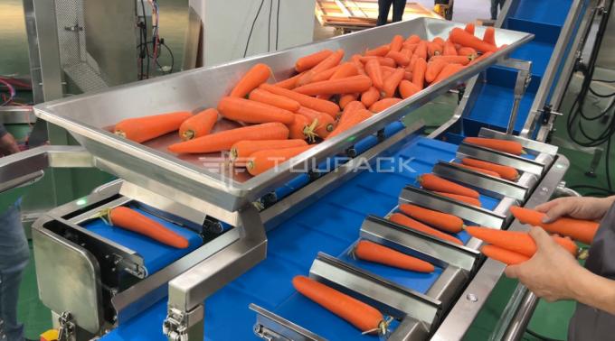 Semi-Auto Carrot Weighing & Mesh Bag Packaging Machine