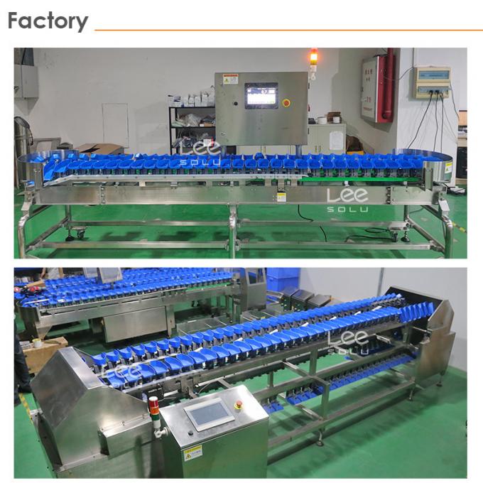 Stainless Steel Vegetable Sorting Machine with Touch Screen