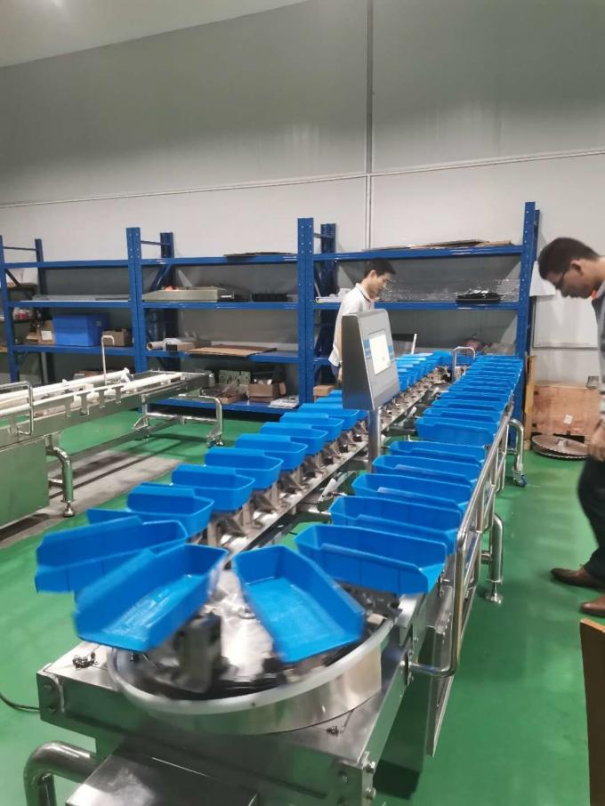 Food Grader Circular Multi Weight Sorting Machine With Conveyor Belt